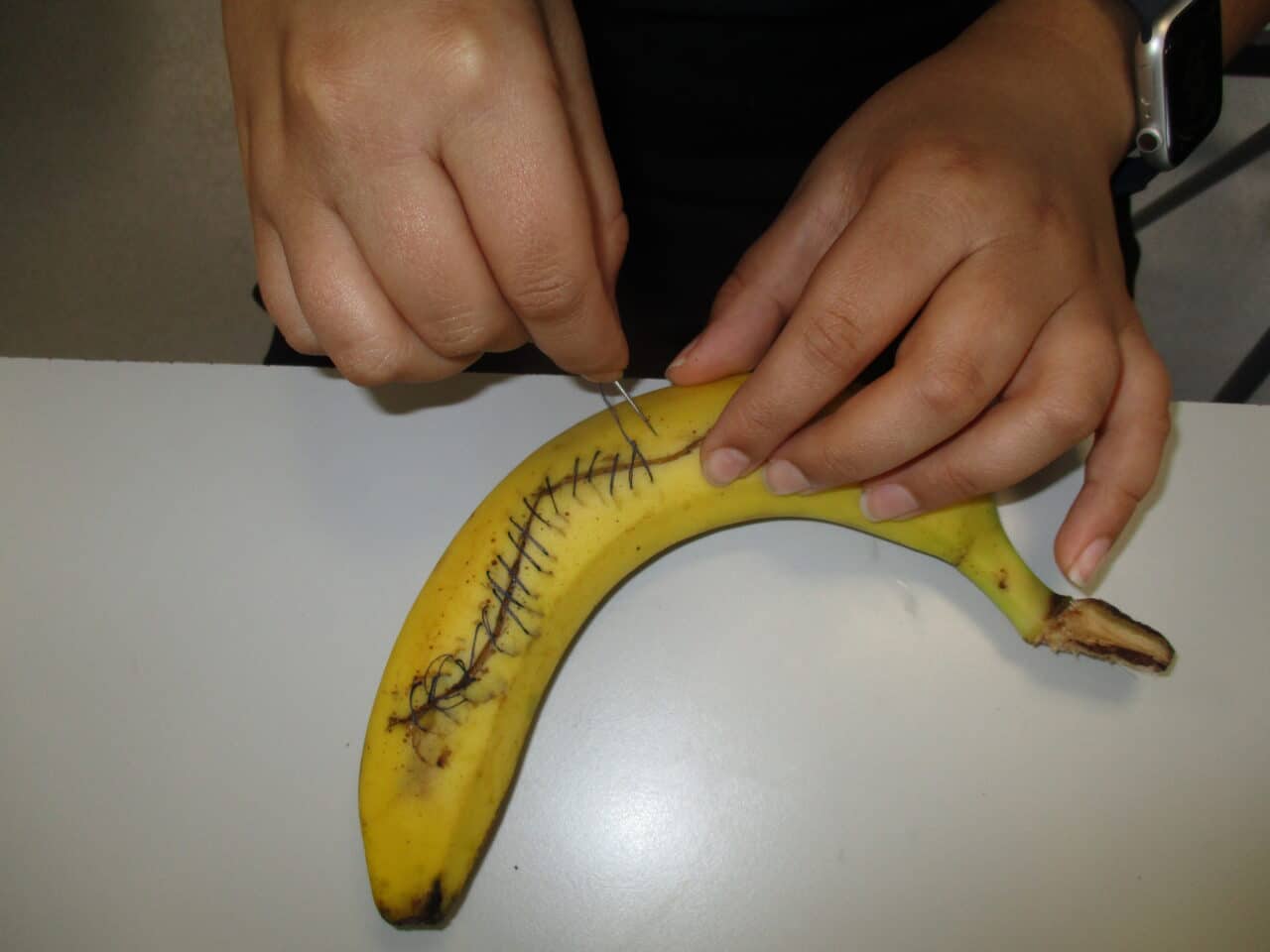 Medicine and Dentistry Society Go Bananas at Suturing Workshop ...
